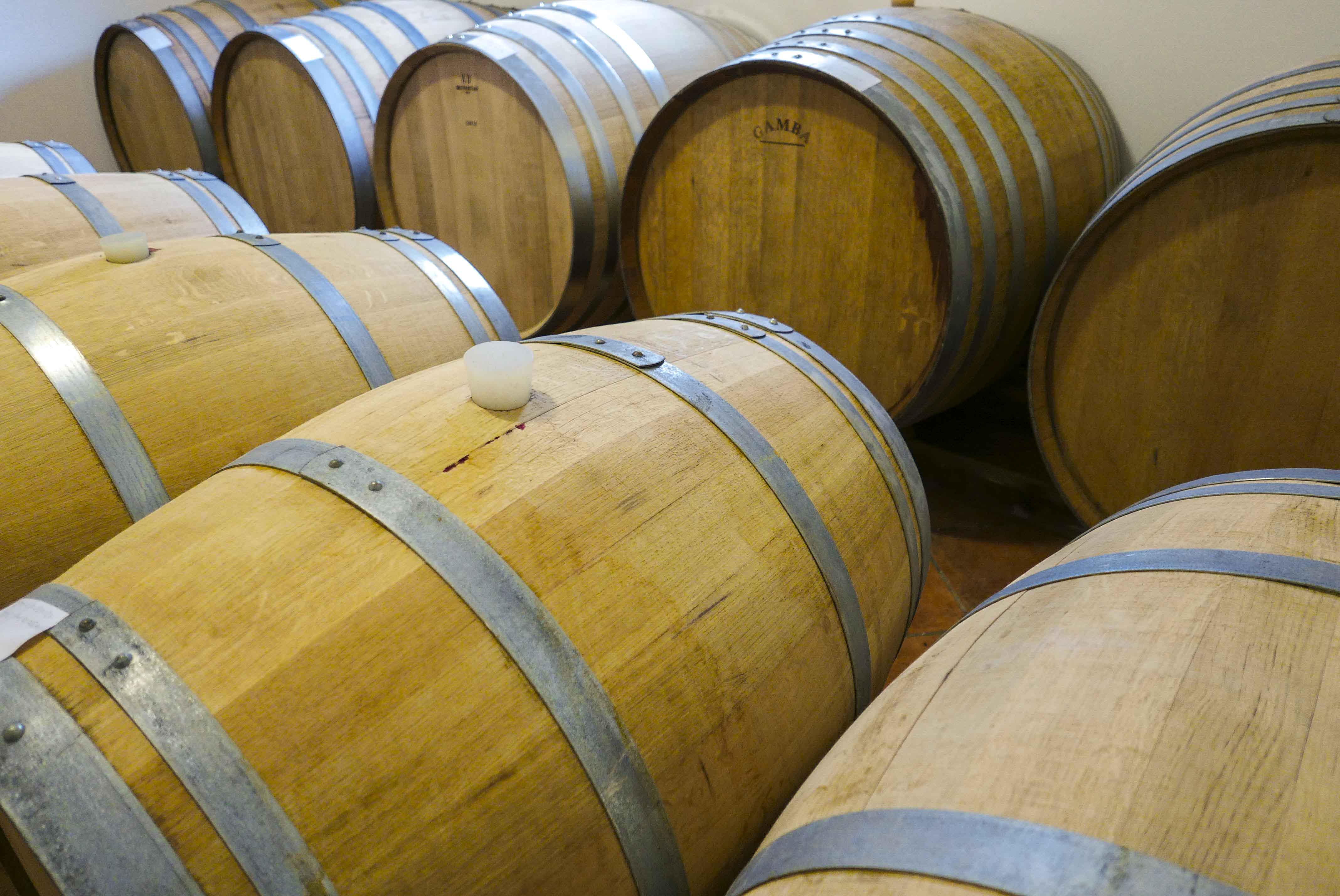 The Estate RIGOLI - Rigolivini